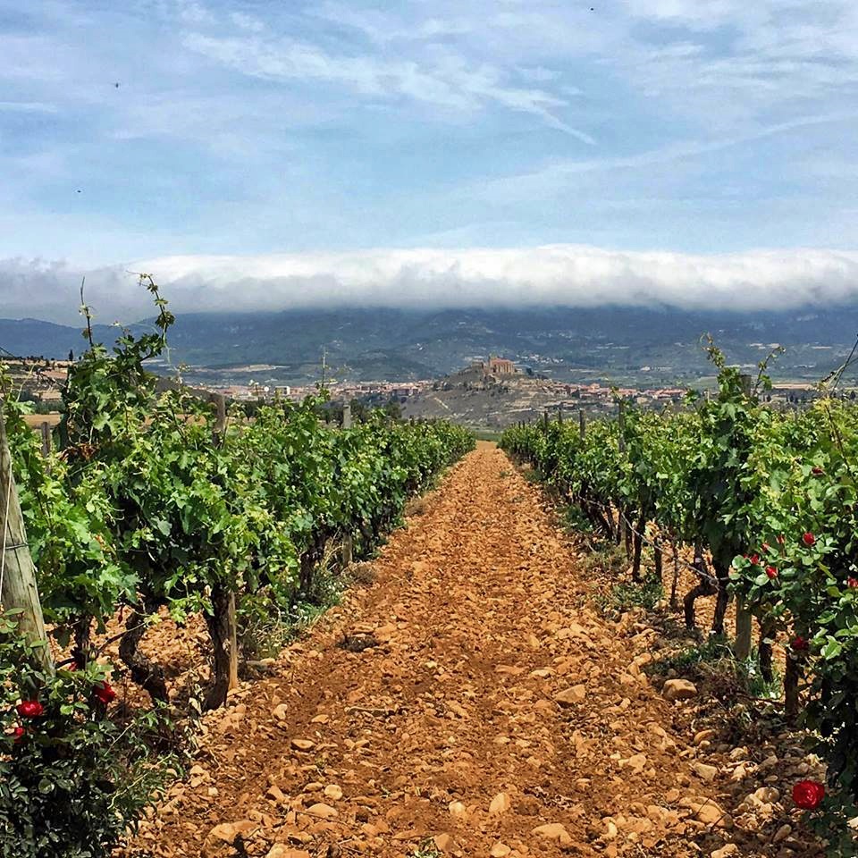 Bodegas Vivanco - La Rioja Sin Barreras